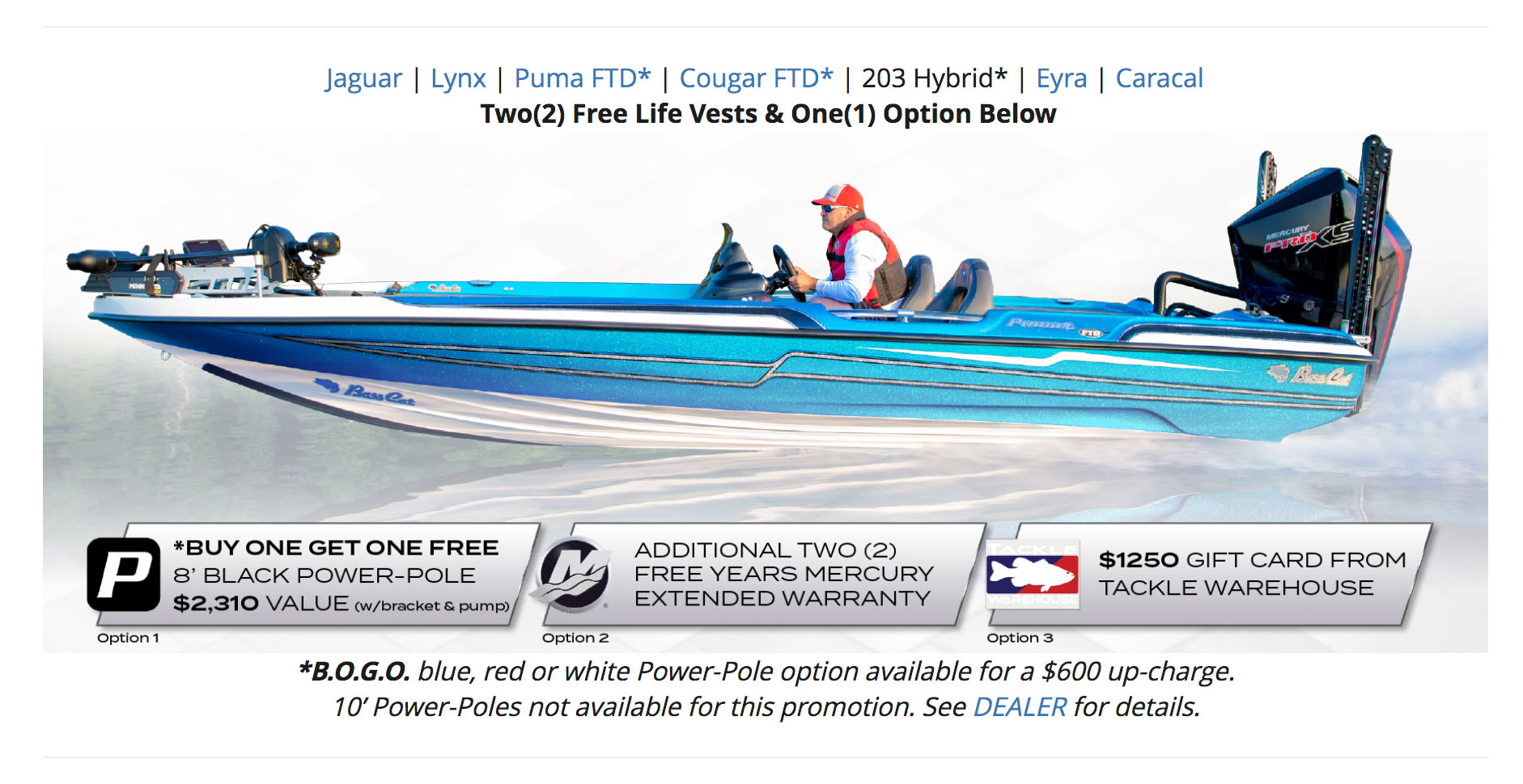 Bass pro big cat quest - dotcomhost